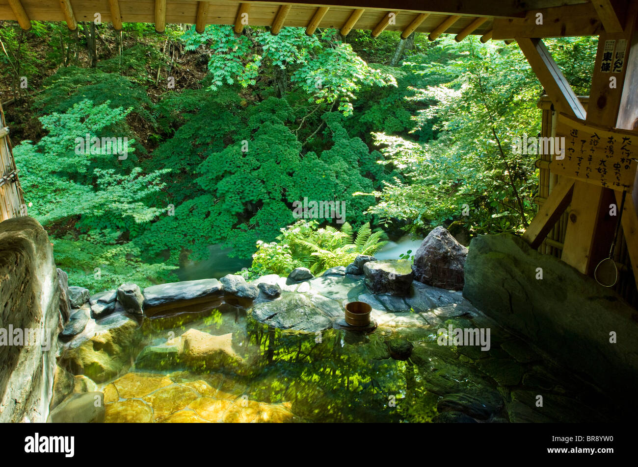 Rotenburo, outdoor onsen, facing green foliage and next to a clear ...