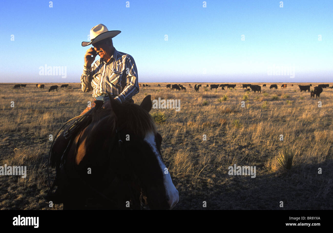 Man in cowboy hat on cellular phone hi-res stock photography and images ...