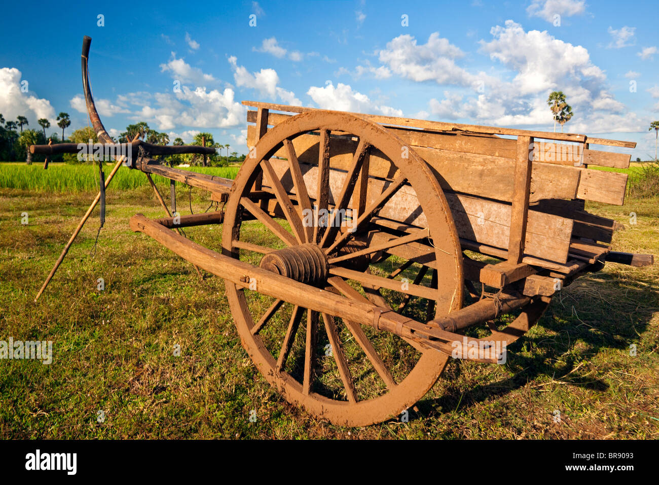Farming in Cambodia Stock Photo - Alamy
