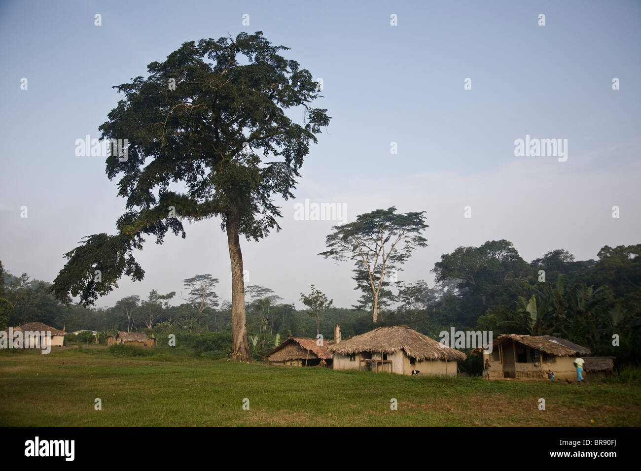 Sapo national park, liberia hi-res stock photography and images - Alamy