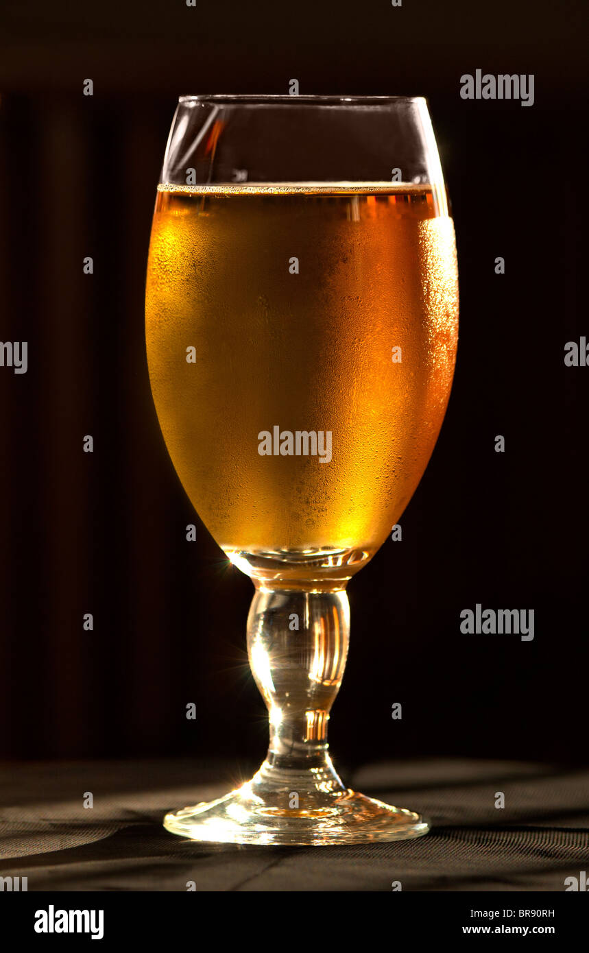 Chilled glass of beer hi-res stock photography and images - Alamy