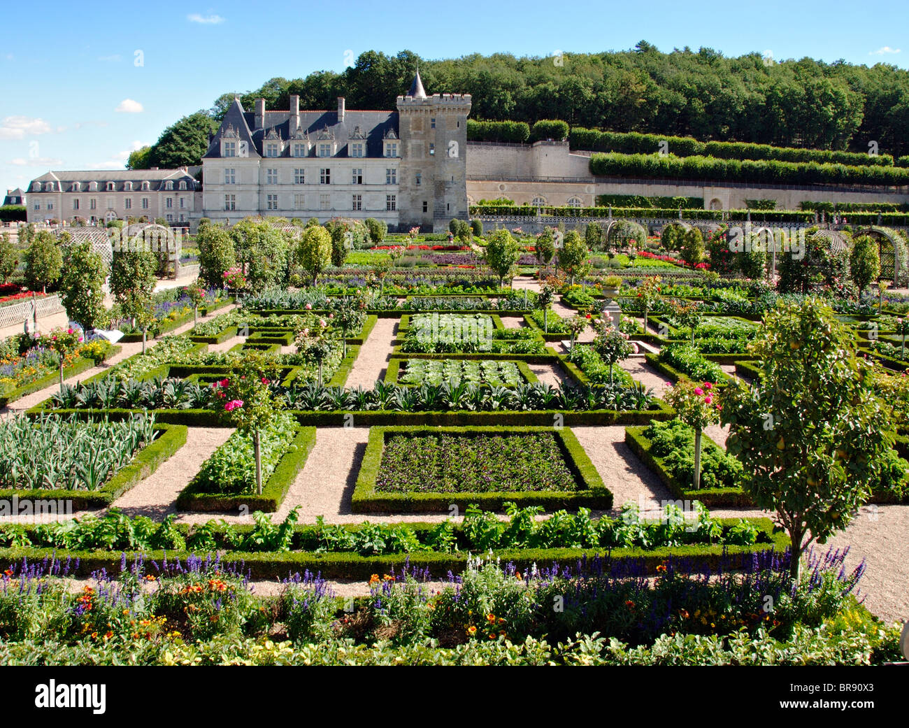 The Chateau de Villandry and the Potager garden, Indre et Loire, France ...