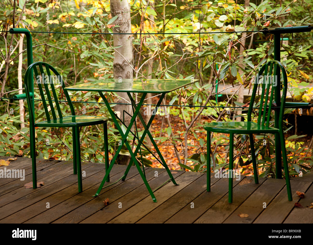 Modern steel table and chair in woodland setting Stock Photo - Alamy