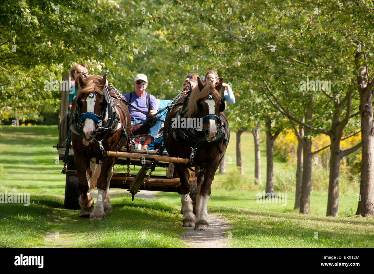 Hayride wagon hi-res stock photography and images - Alamy