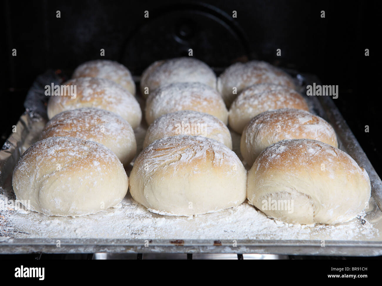 A tray of home-baked baps or Scottish morning rolls in the oven Stock ...