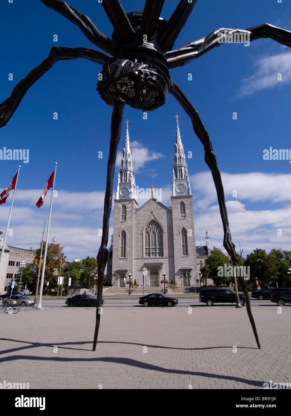 Giant spider canada hi-res stock photography and images - Alamy