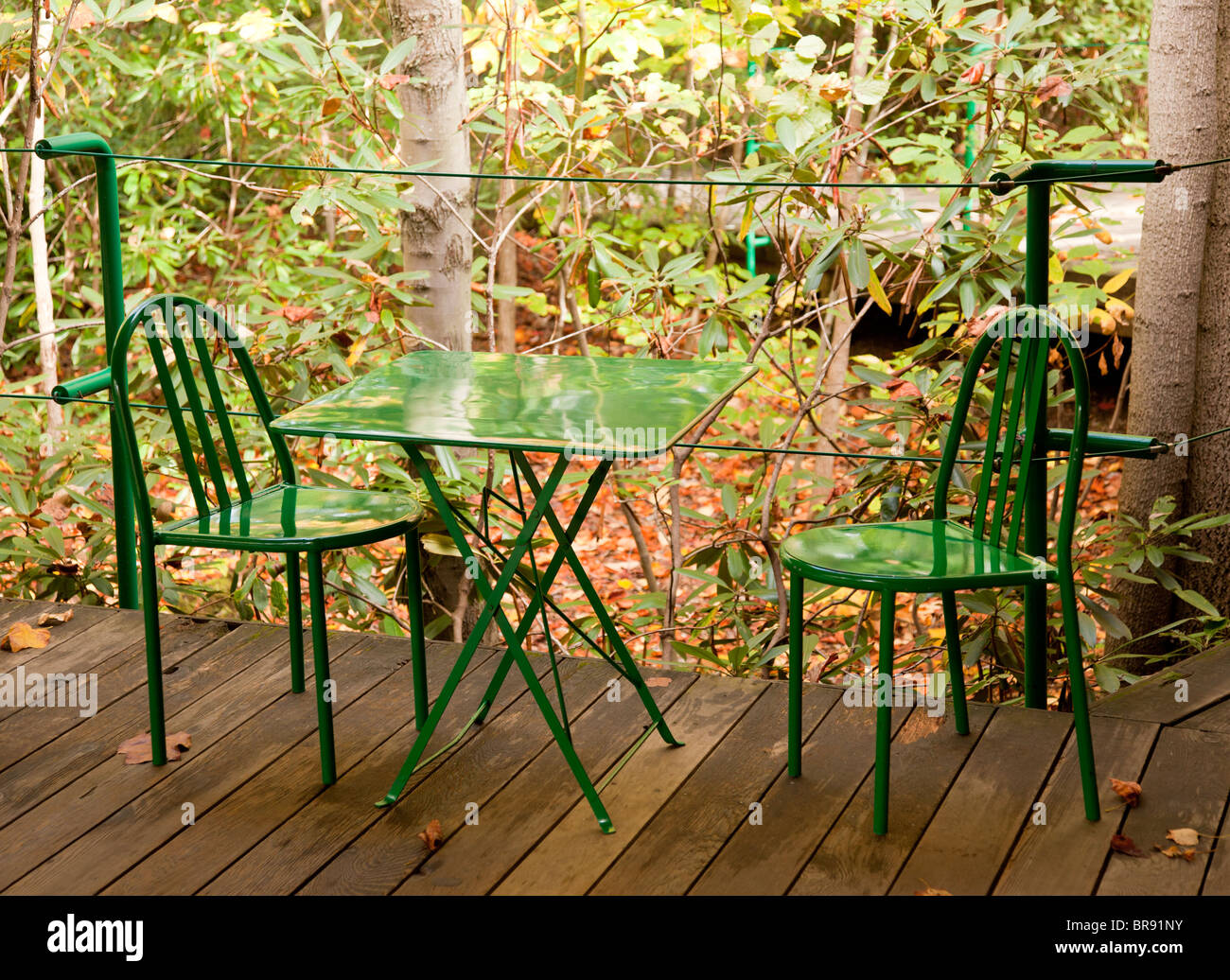 Modern steel table and chair in woodland setting Stock Photo - Alamy