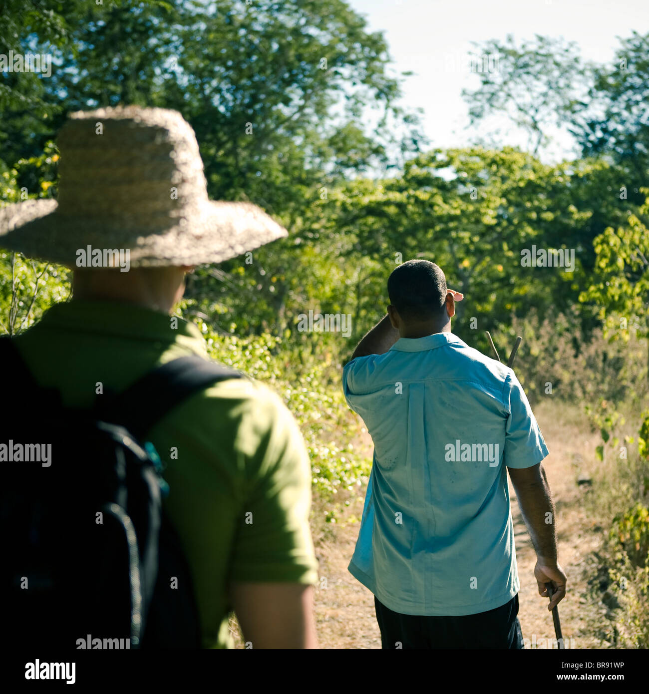 A guide leading a tourist through the forest Stock Photo - Alamy