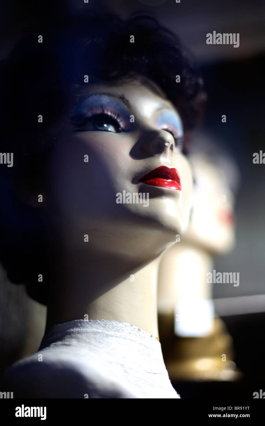 Head of a female European manechin Stock Photo - Alamy