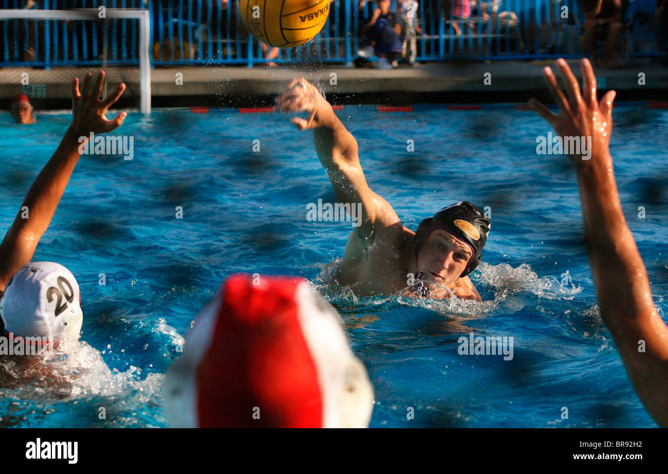 Water polo player takes shot at goal Vista California Stock Photo - Alamy