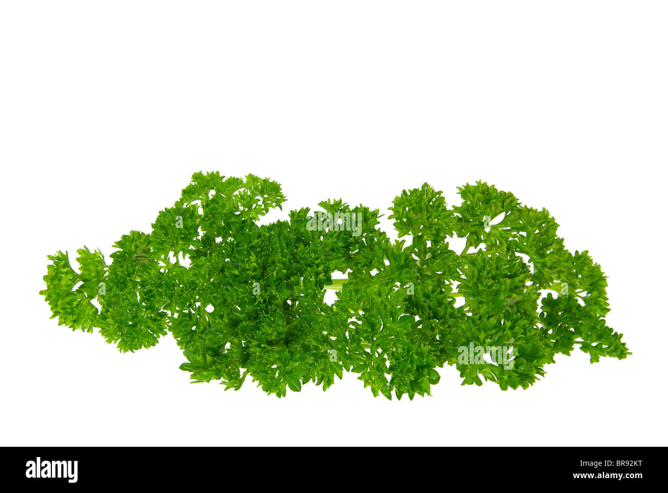 Petersilienbund hi-res stock photography and images - Alamy