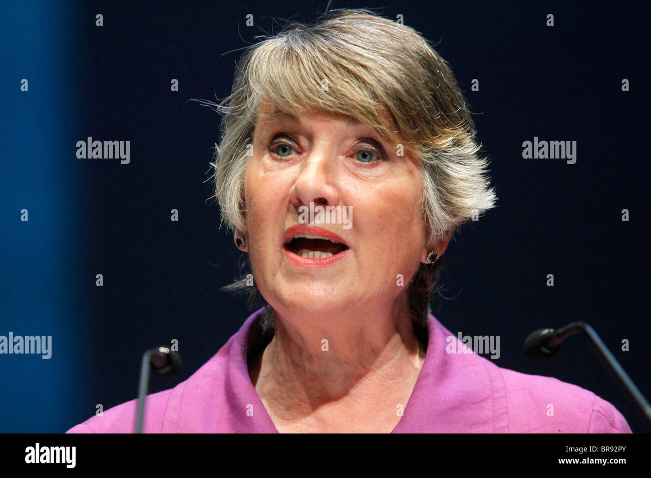Baroness walmsley liberal democrat party hi-res stock photography and ...