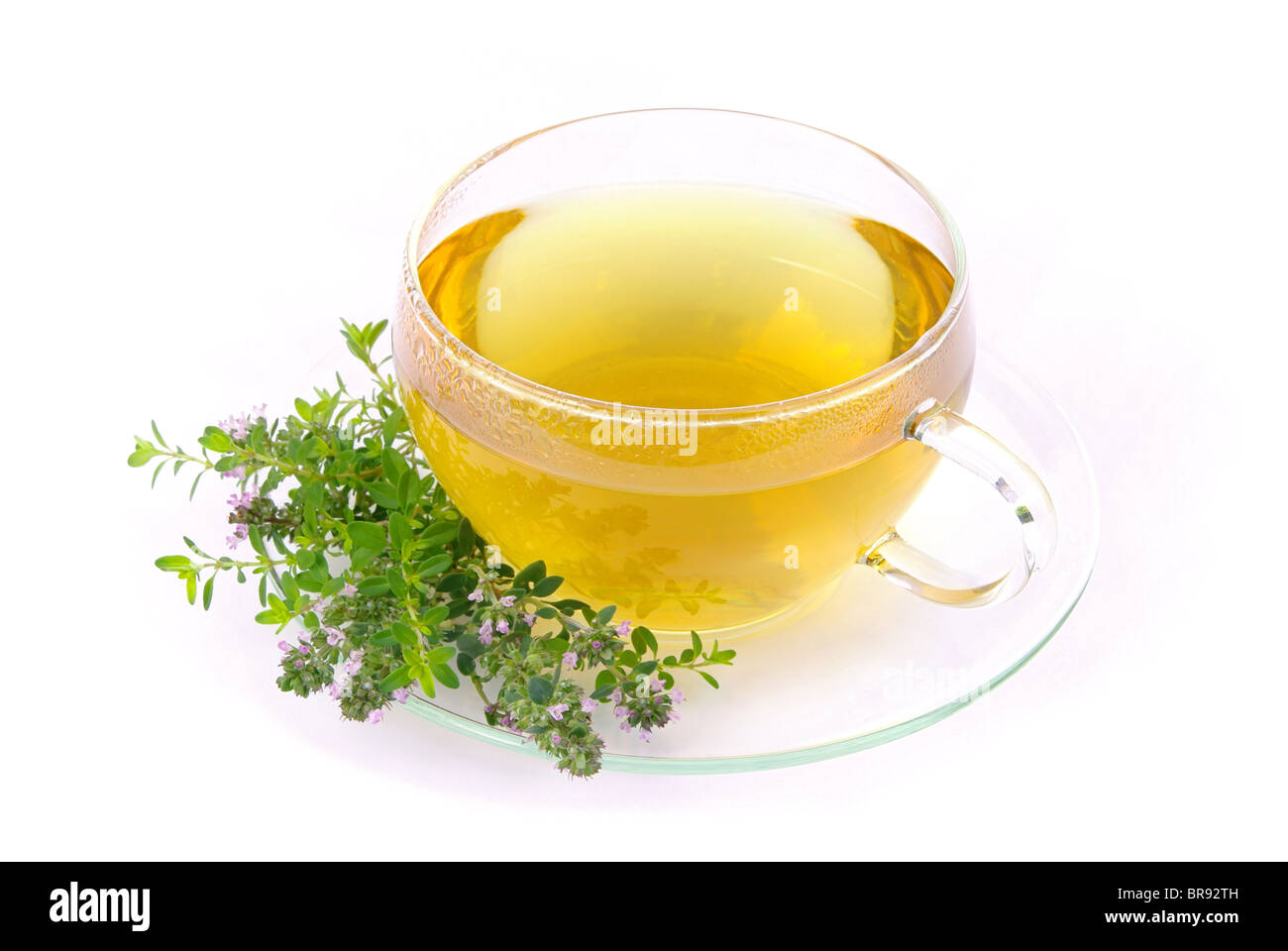 Thymus vulgaris thyme thymian hi-res stock photography and images - Alamy