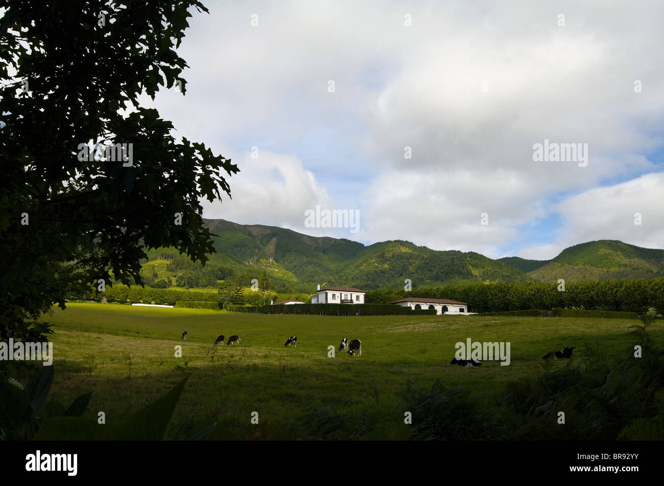 Cloud meadow hi-res stock photography and images - Alamy