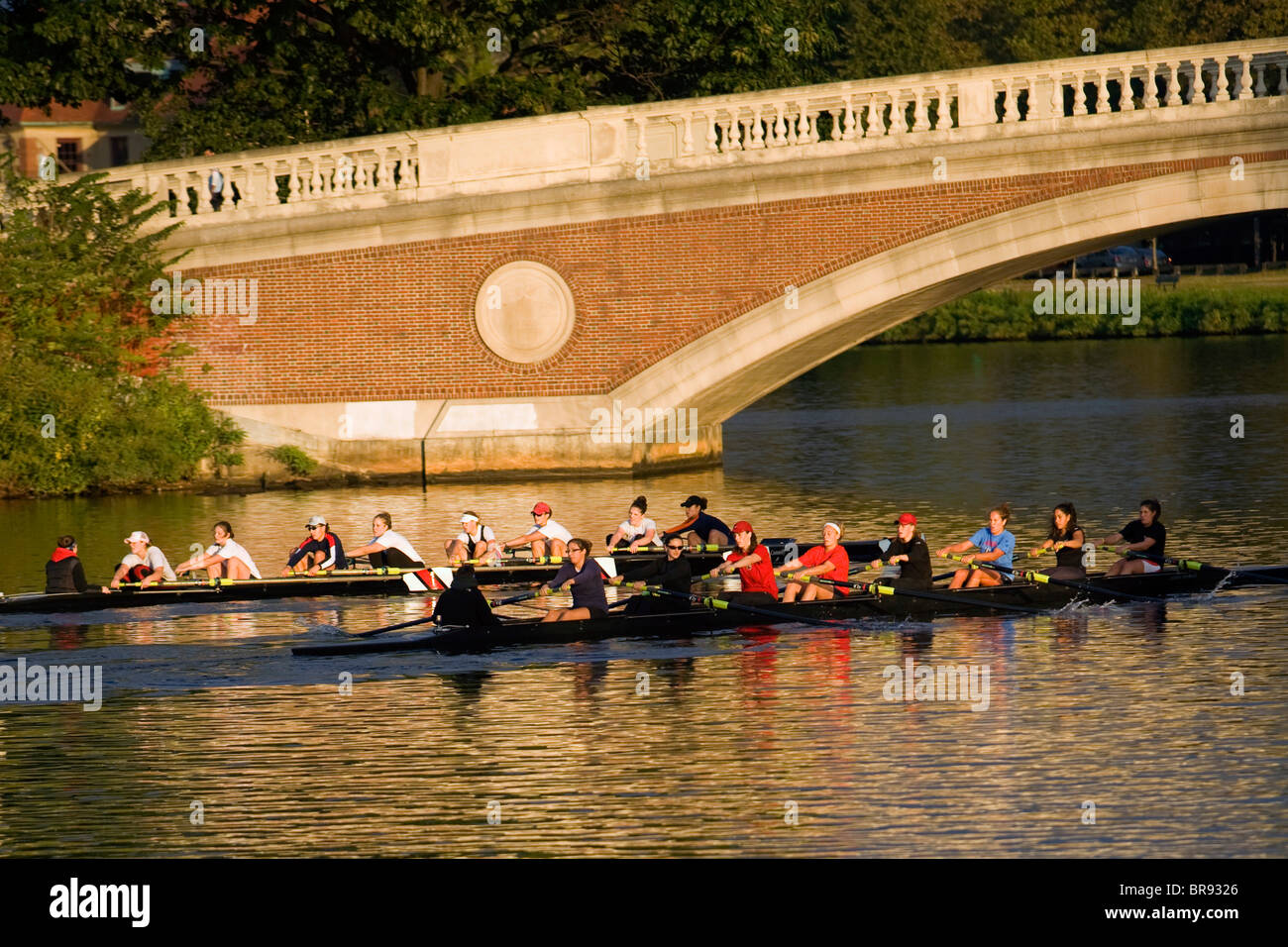 Rowing on the Charles River Boston Massachusetts Stock Photo - Alamy