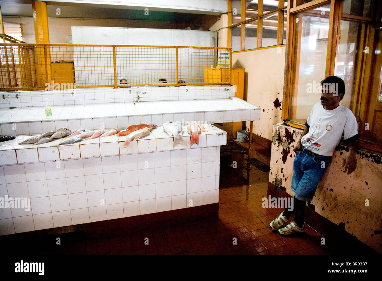 Fiji fish market hi-res stock photography and images - Alamy