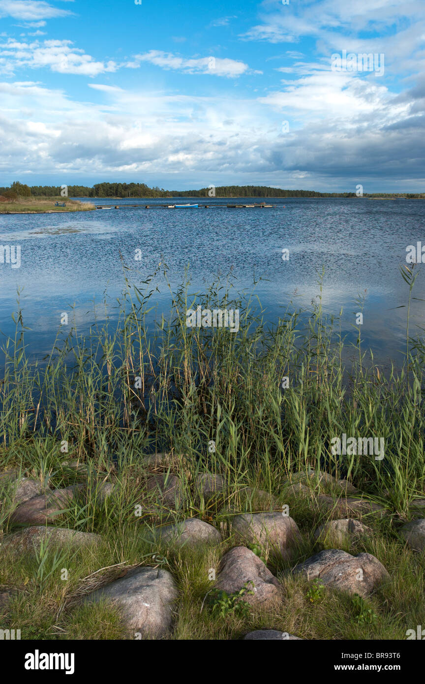 reeds and rocks by lake Stock Photo - Alamy
