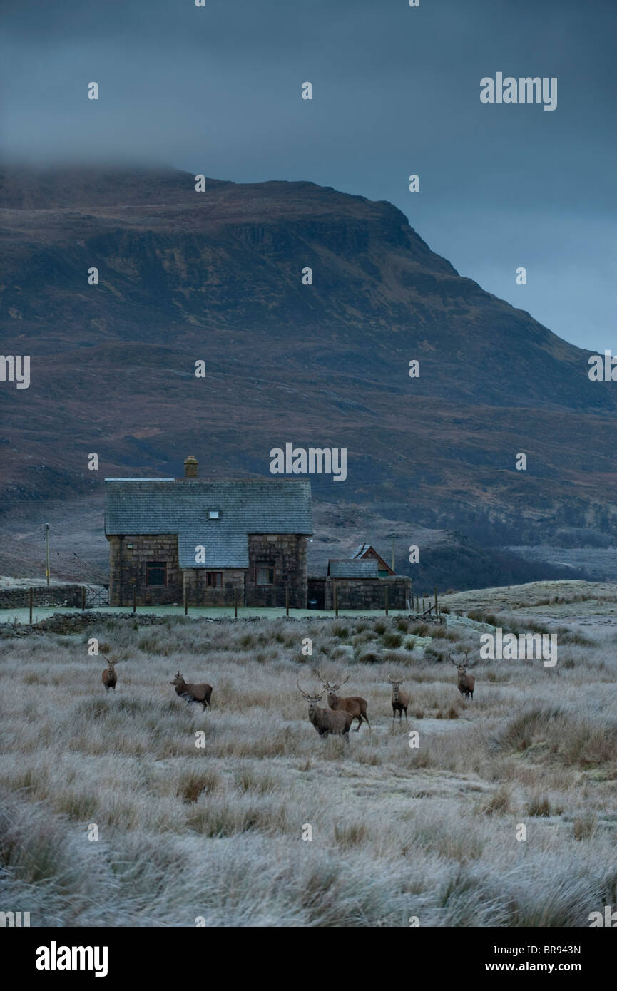 Assynt Sutherland Scottish Highlands Stock Photo - Alamy