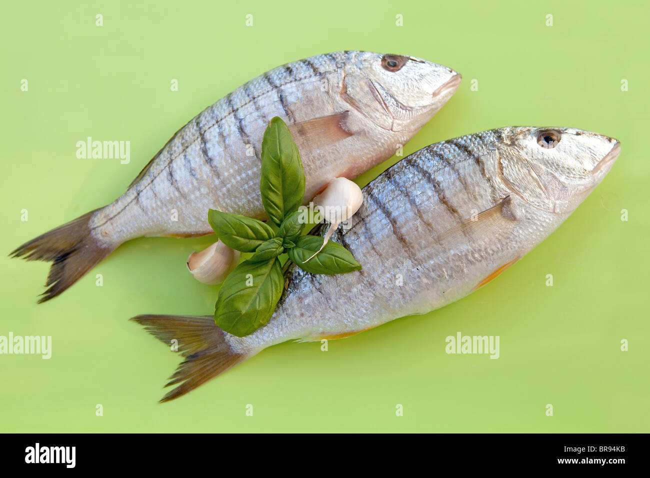 two fresh raw fish for dinner over green background Stock Photo - Alamy