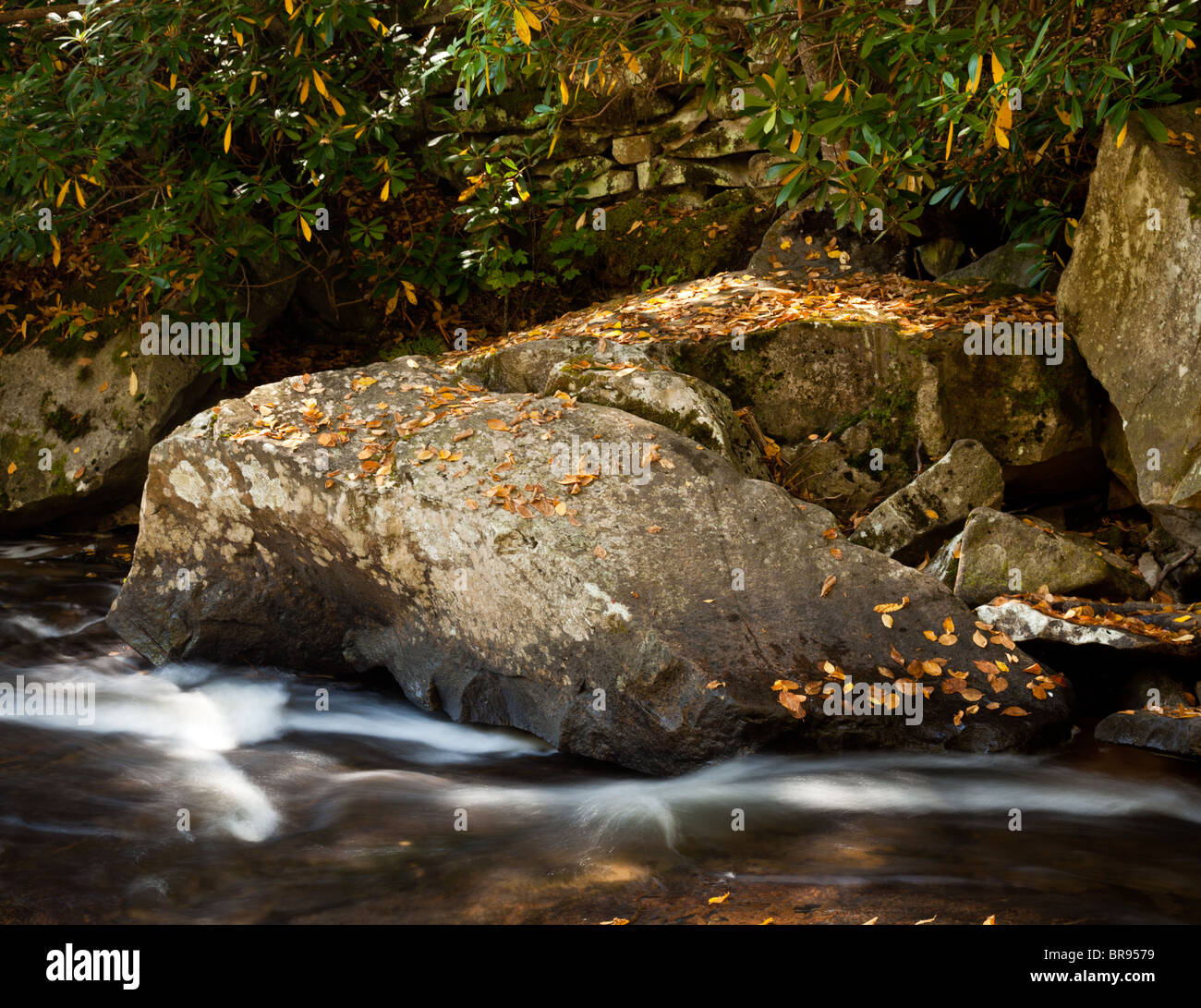 Fallen leaves in fall in river by edge of waterfall Stock Photo - Alamy