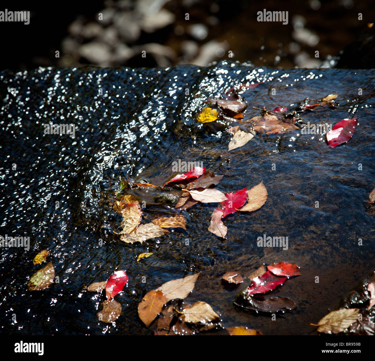 Fallen leaves in fall in river by edge of waterfall Stock Photo - Alamy