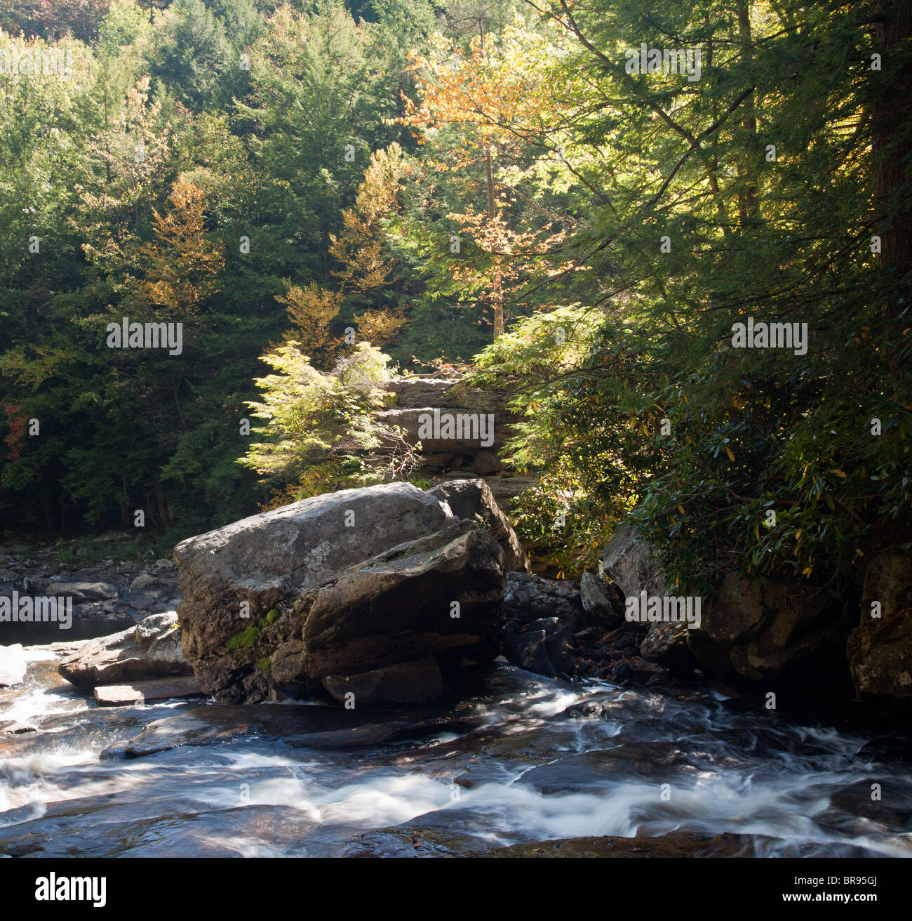 Fallen leaves in fall in river by edge of waterfall Stock Photo - Alamy
