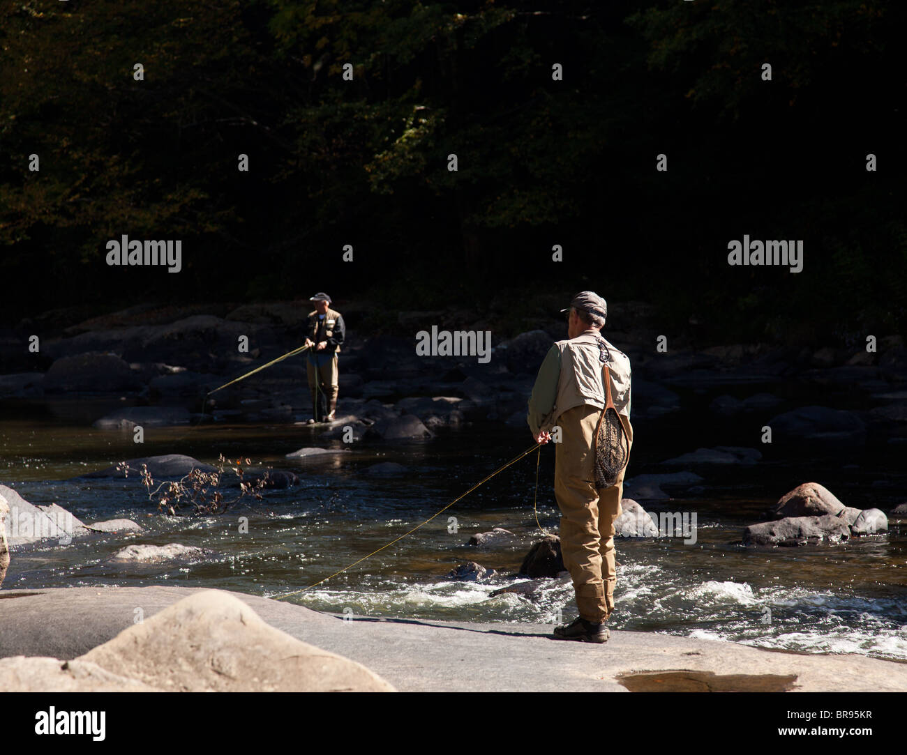 Angler flyfishing in a rapid river near swallow falls in Maryland Stock ...