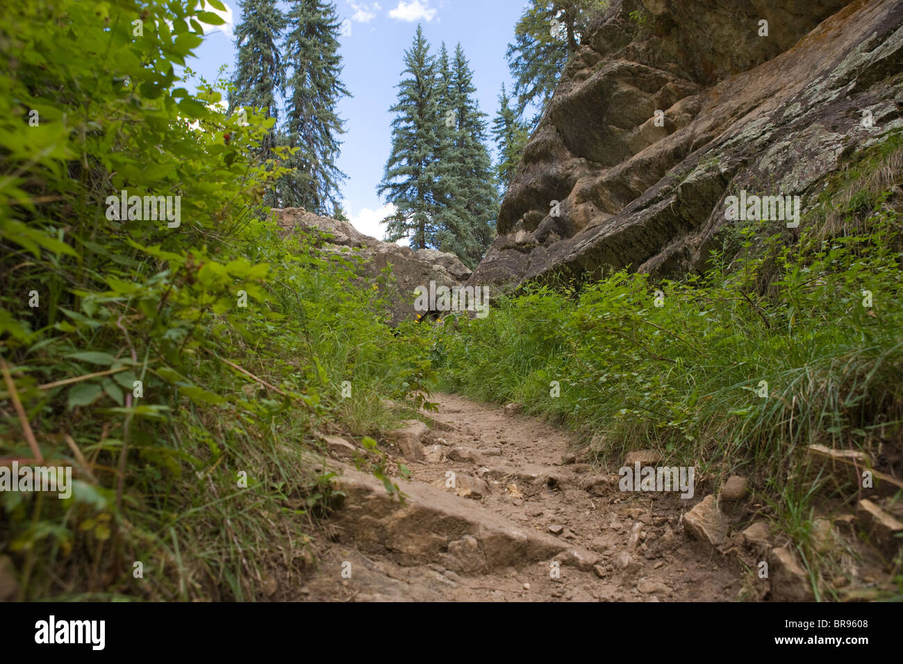 hiking trail, steep hill, Pagosa Springs, Colorado, United States Stock ...