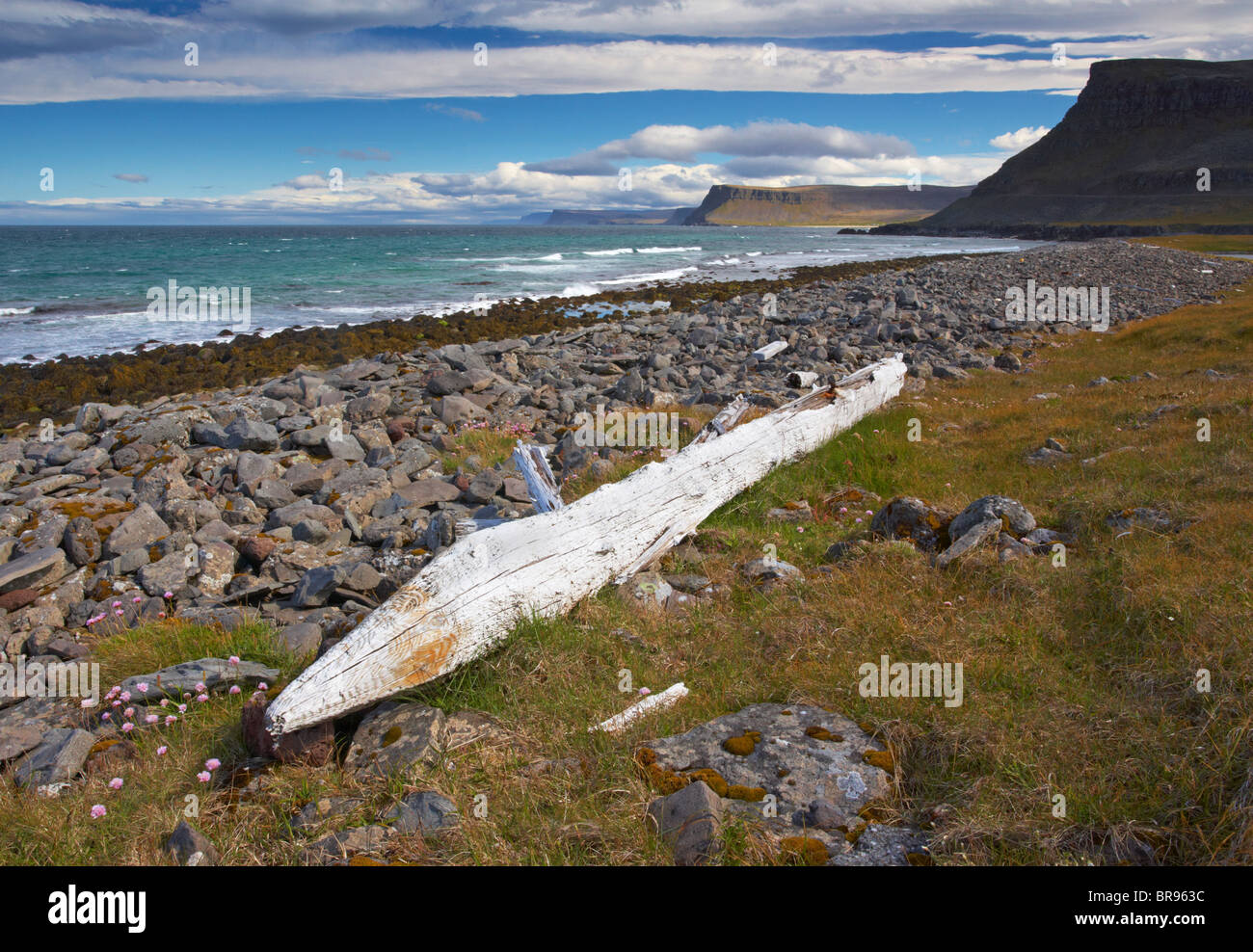 The dramatic coast of the West Fjords of Iceland near Latrabjarg ...