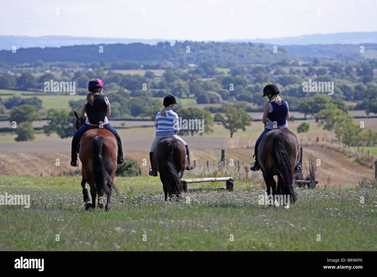 Three riders walking their horses away from the camera Stock Photo - Alamy