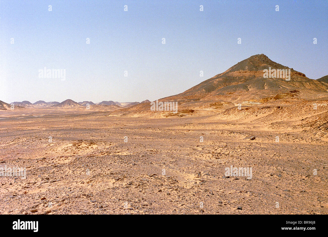 Sahar al aswad hi-res stock photography and images - Alamy