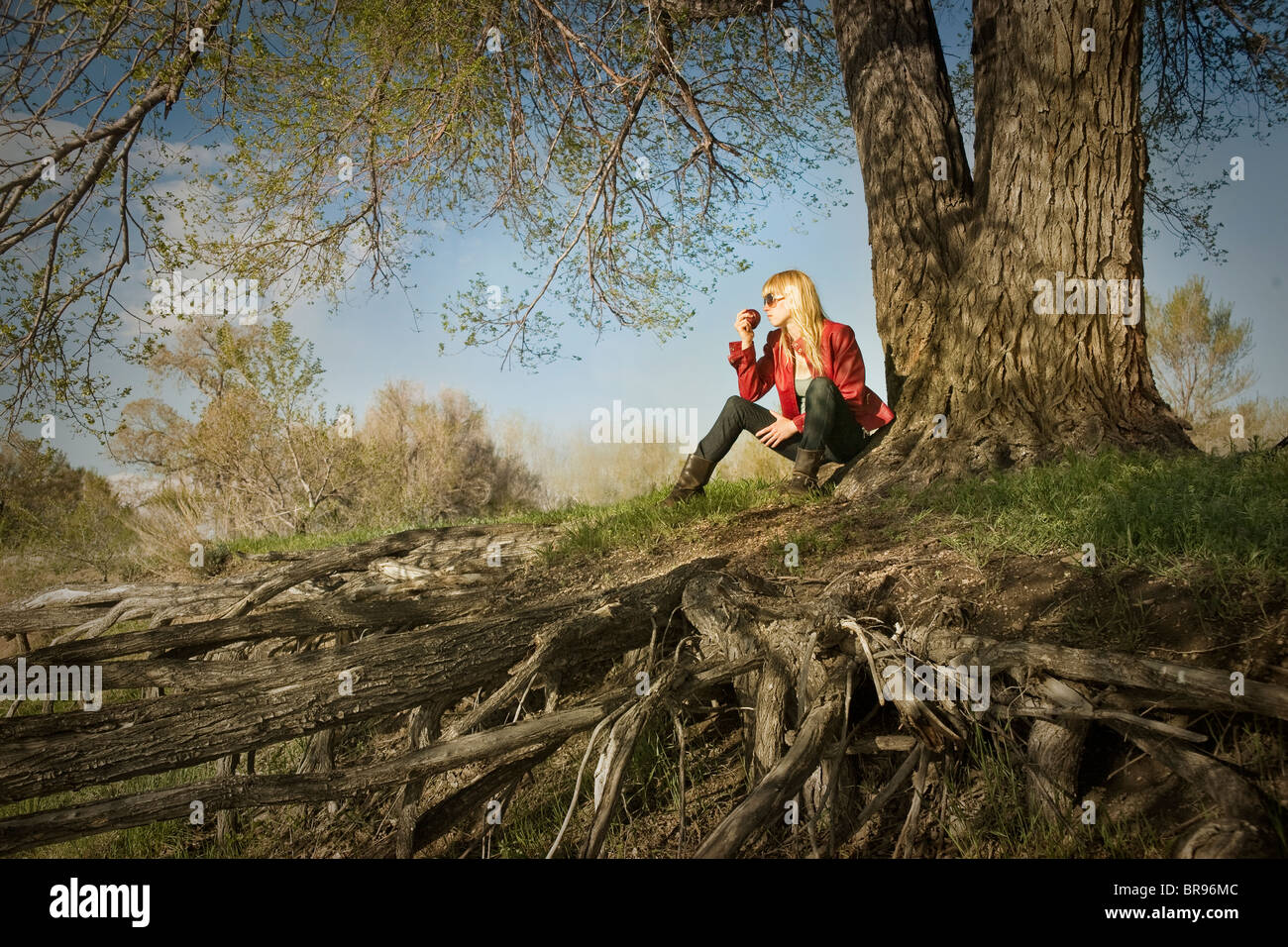 Woman under apple tree hi-res stock photography and images - Alamy