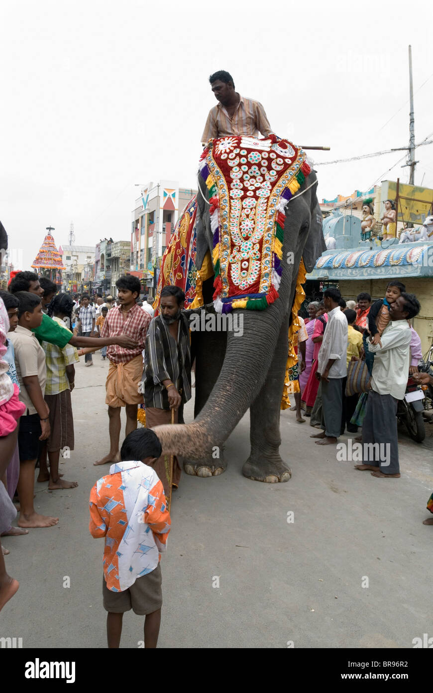 Elephant blessing boy at Thiruvannamalai temple ; Tamil Nadu Stock ...