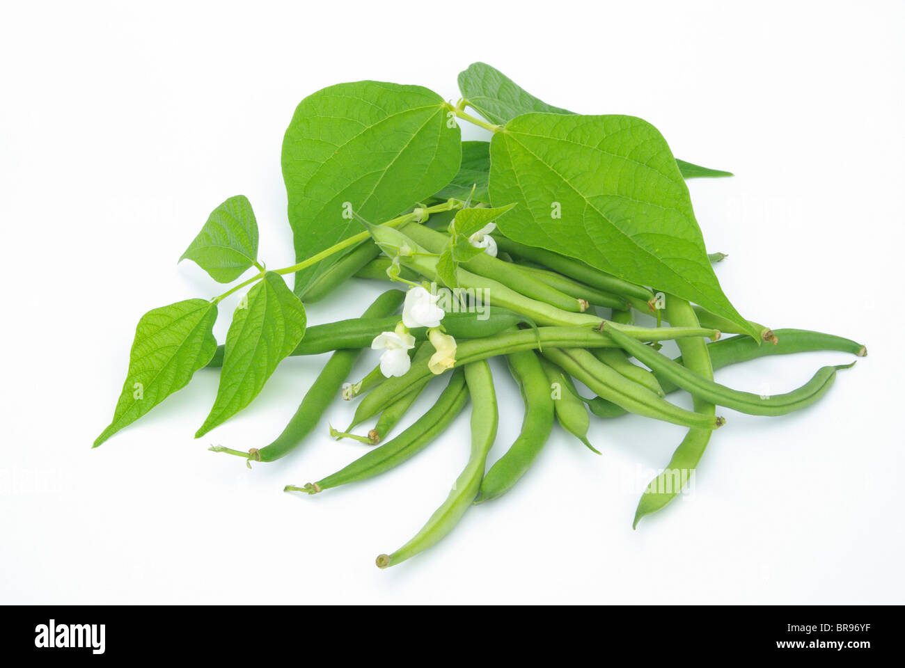 Bohnen bohne hi-res stock photography and images - Alamy