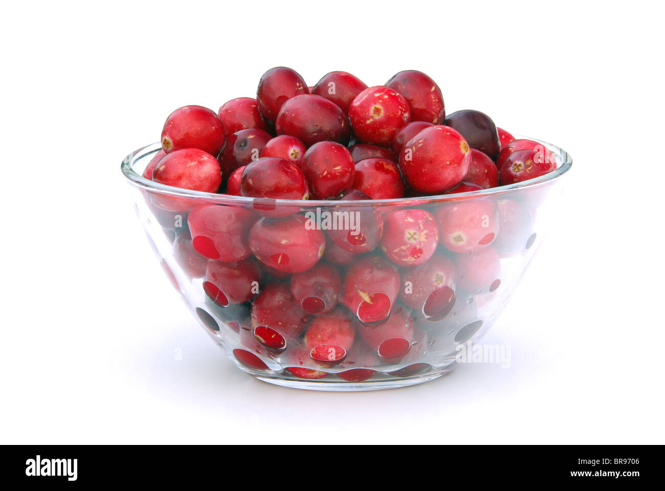 Kranbeere hi-res stock photography and images - Alamy