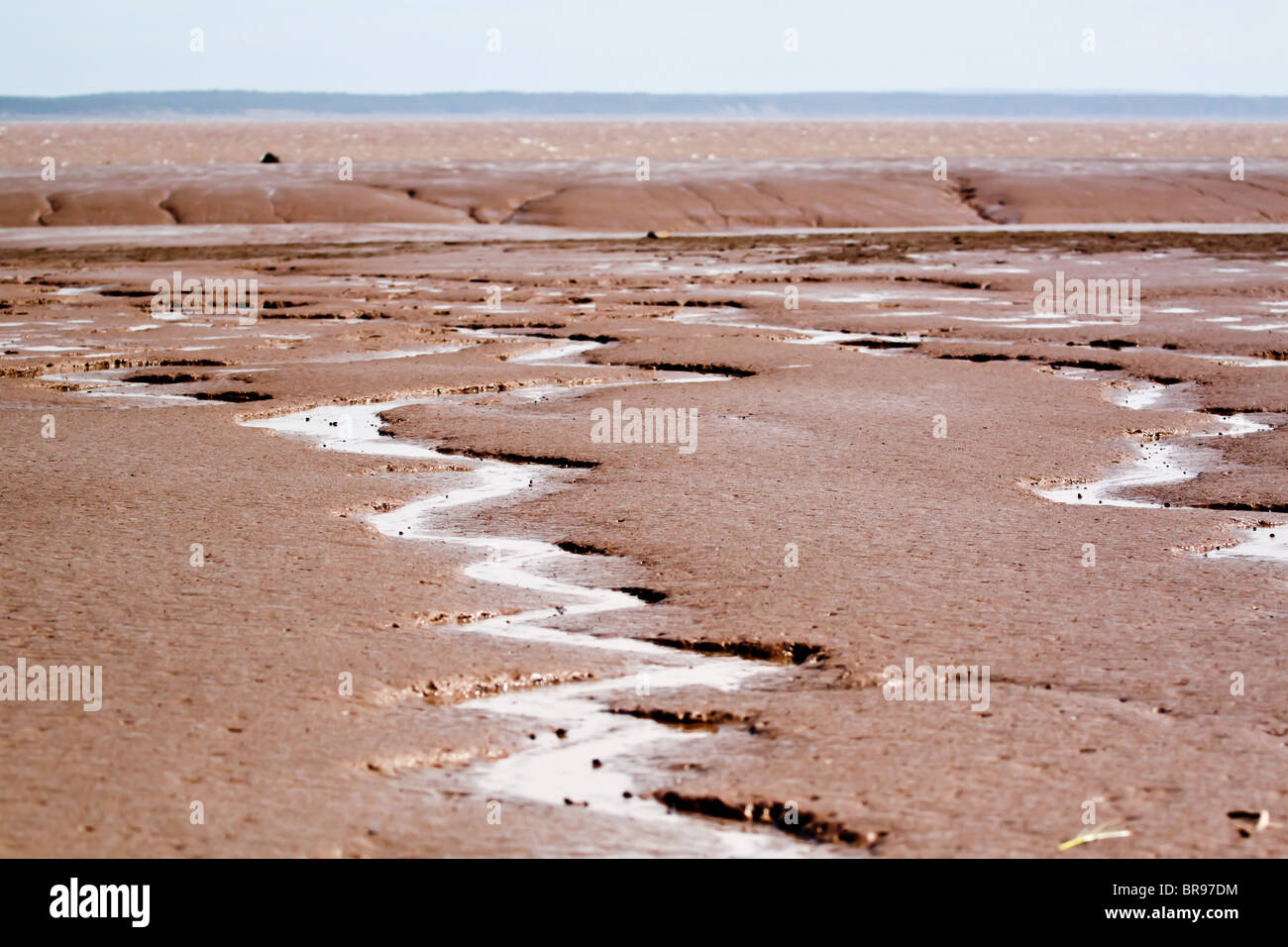 Maritime mudflats hi-res stock photography and images - Alamy