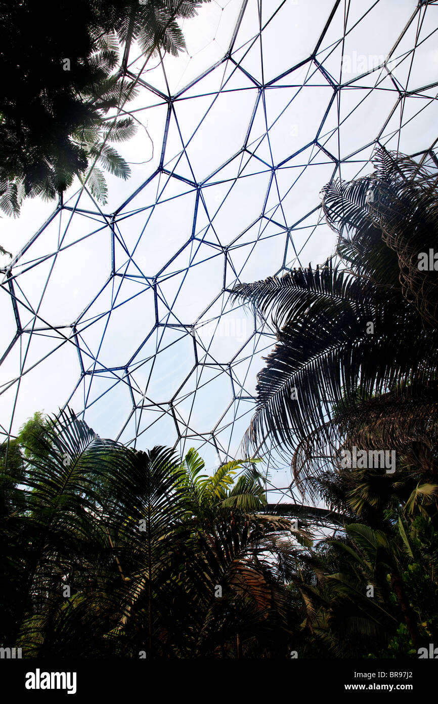 Eden project cornwall dome interior hi-res stock photography and images ...
