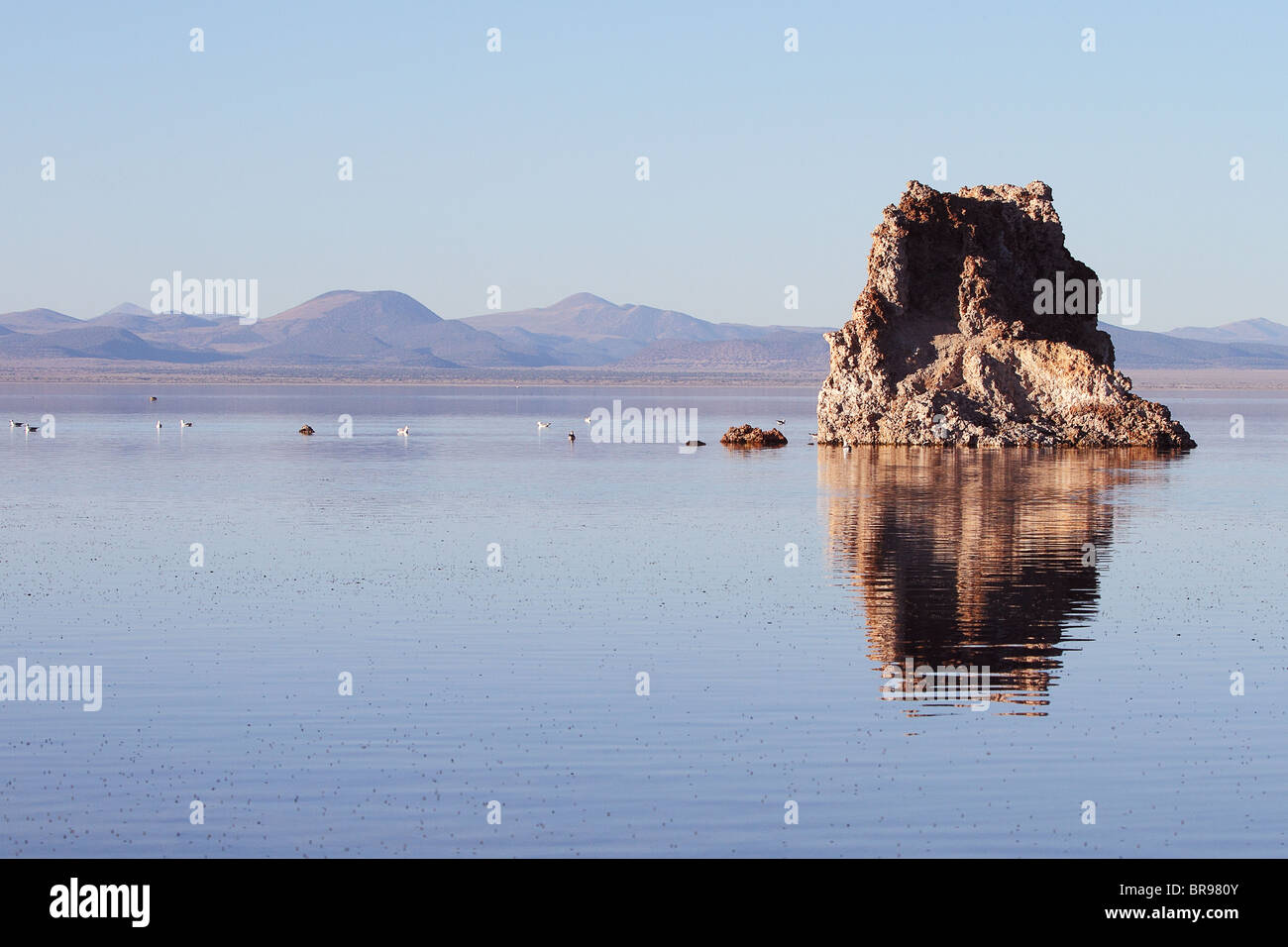 Mono Lake Tufa formations Stock Photo - Alamy