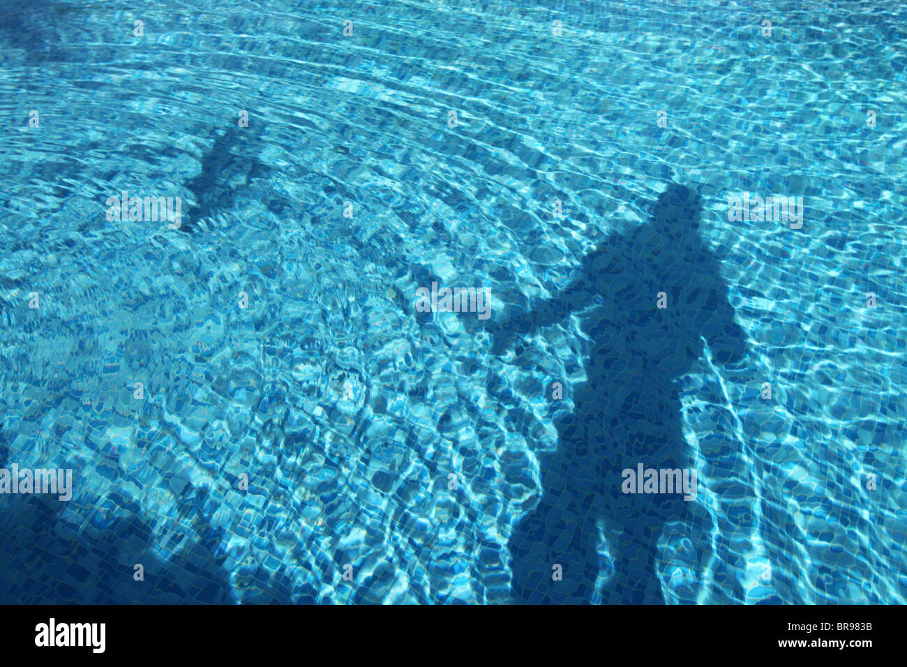 Shadow of a person in a swimming pool Stock Photo - Alamy