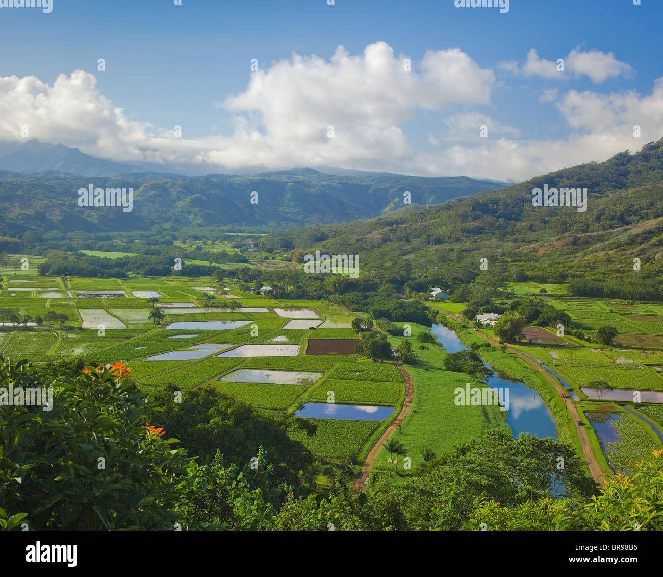 Kauai, HI View of Hanalei Valley taro fields and central mountains in ...