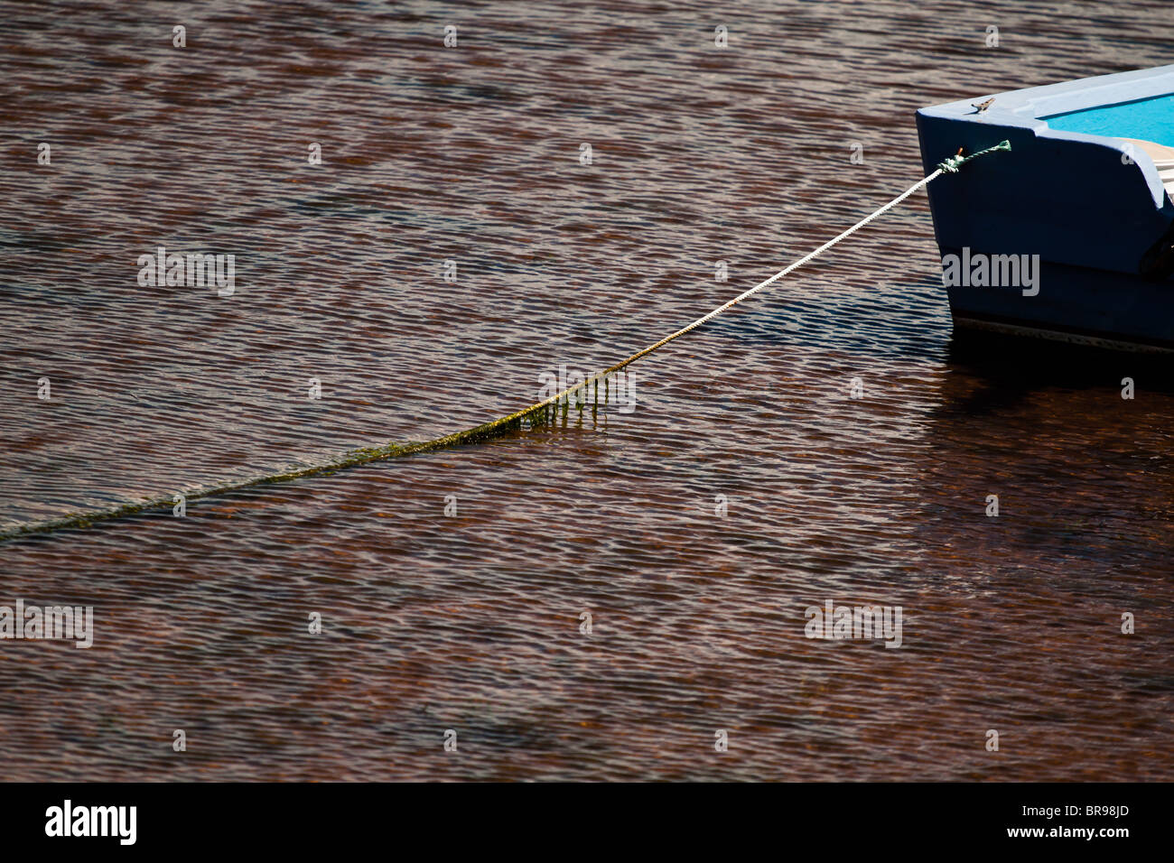 A rowboat is tied to shore with a moss-covered rope Stock Photo - Alamy
