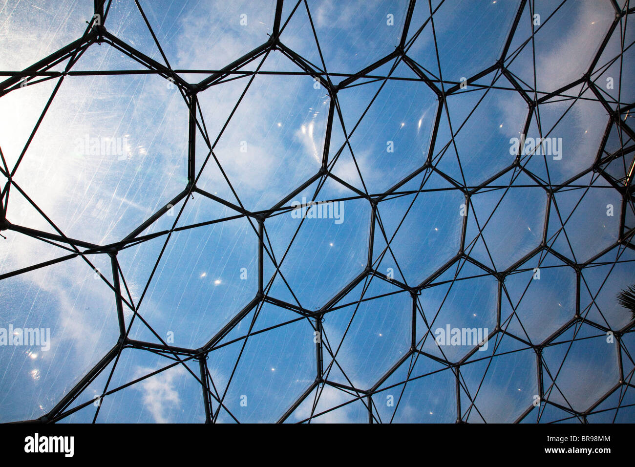 Eden Project hexagon roof Stock Photo: 31551876 - Alamy