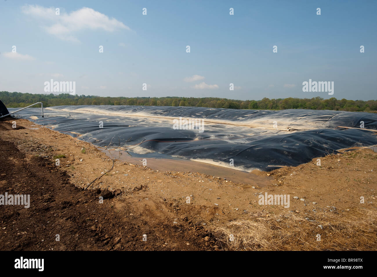 Methane digester , dairy farm manure pit Stock Photo - Alamy