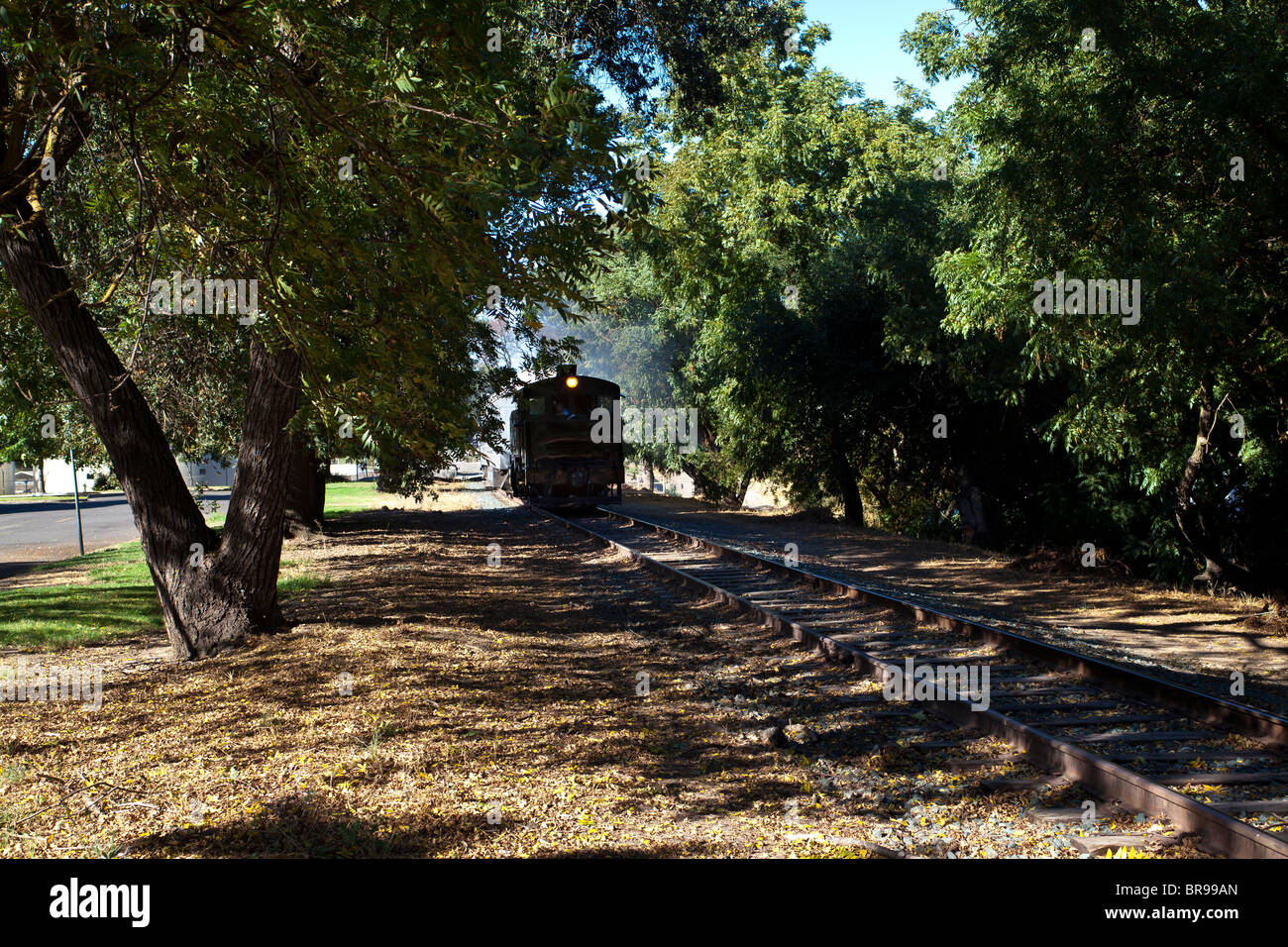Steam train from the California State Railroad Museum Sacramento ...
