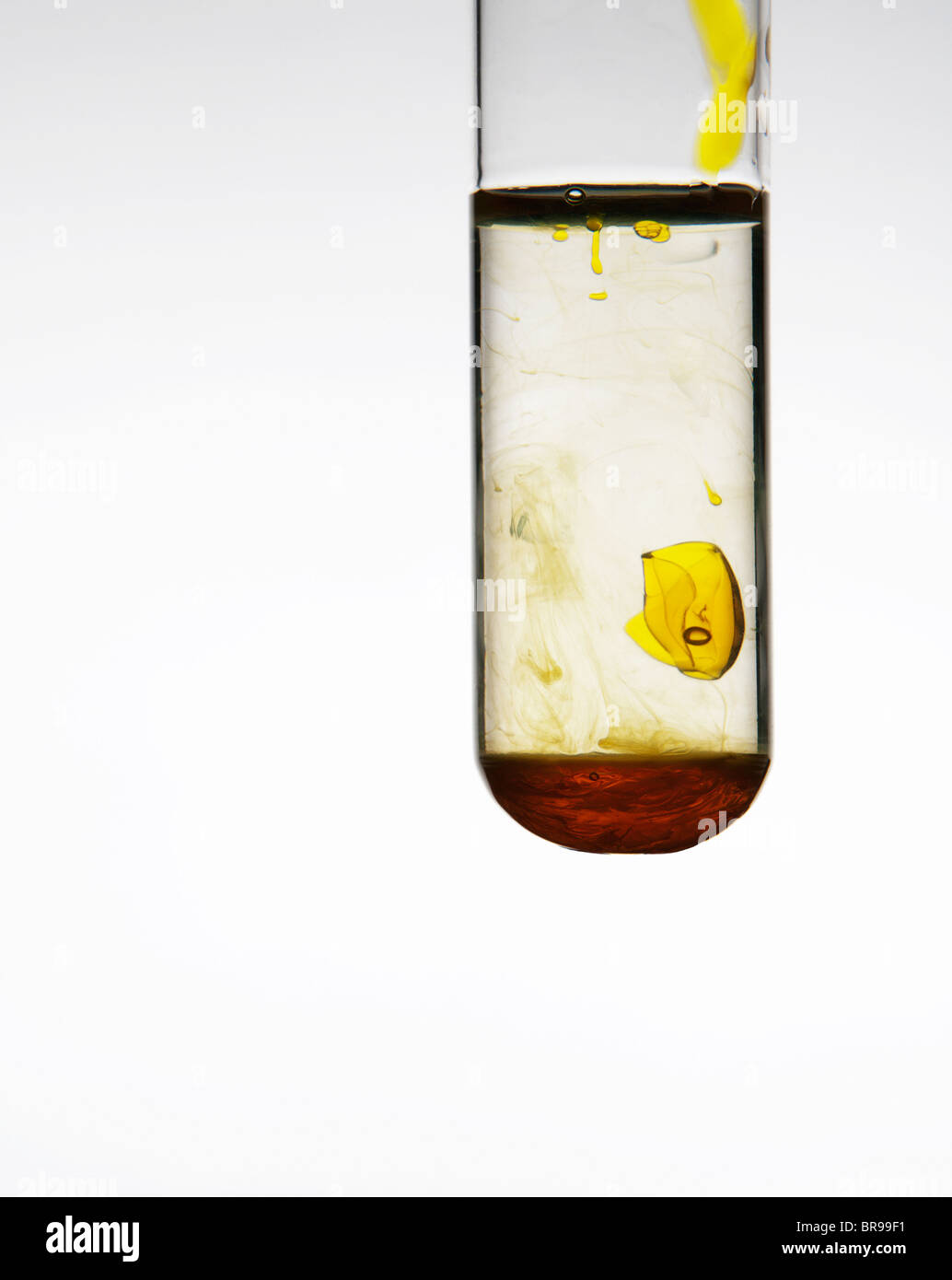 close up detail of single test tube on white background Stock Photo - Alamy