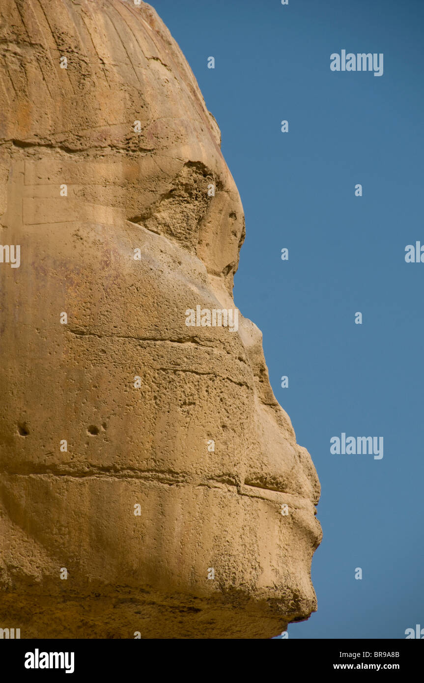 side view of the Sphinx at the Great Pyramids of Giza in Cairo Egypt ...