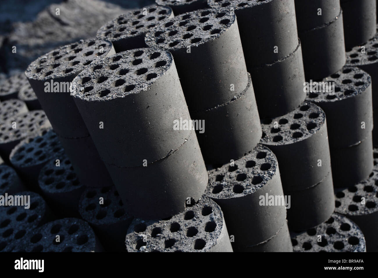 China fossil hi-res stock photography and images - Alamy