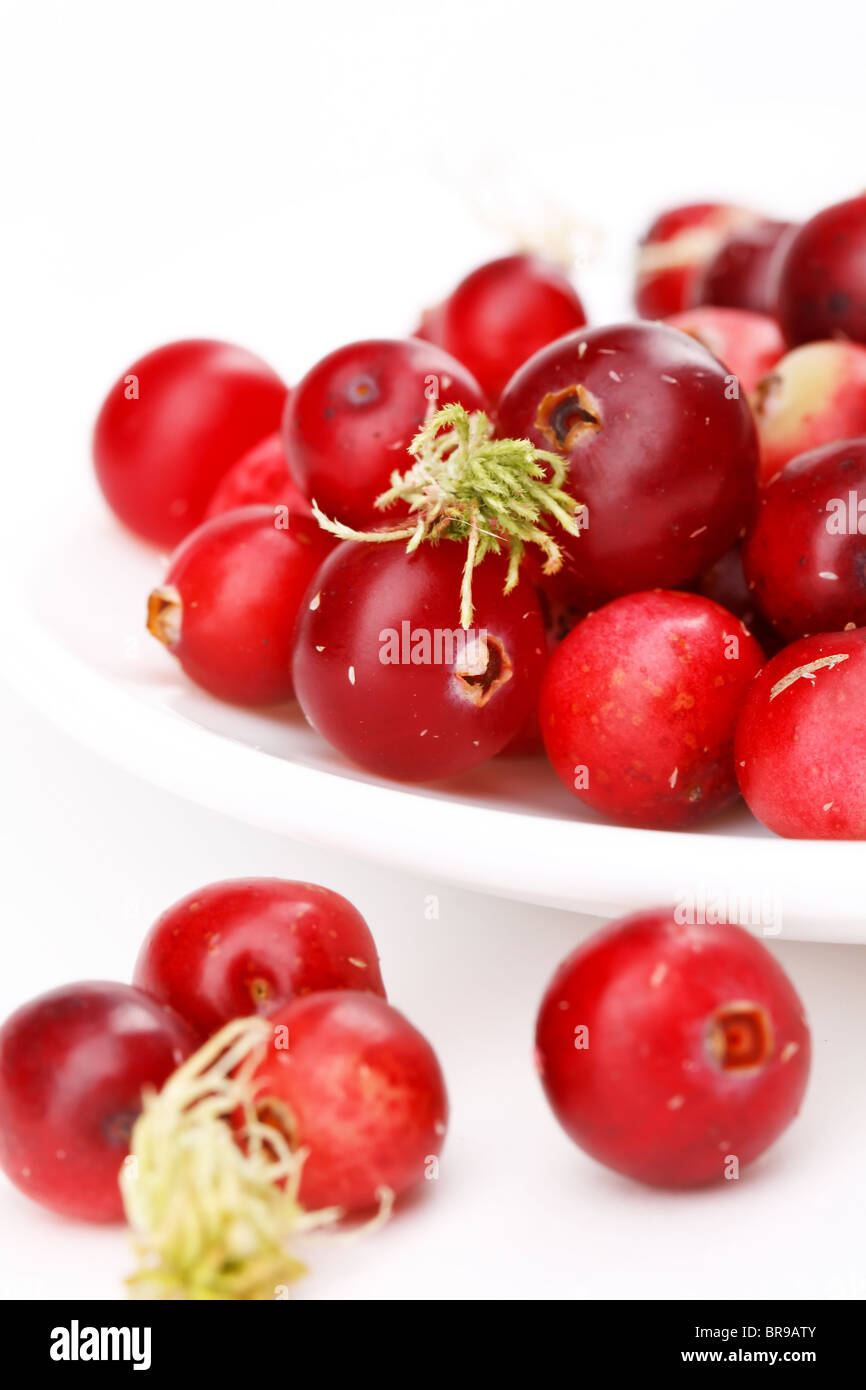 Fresh red cranberries Stock Photo - Alamy