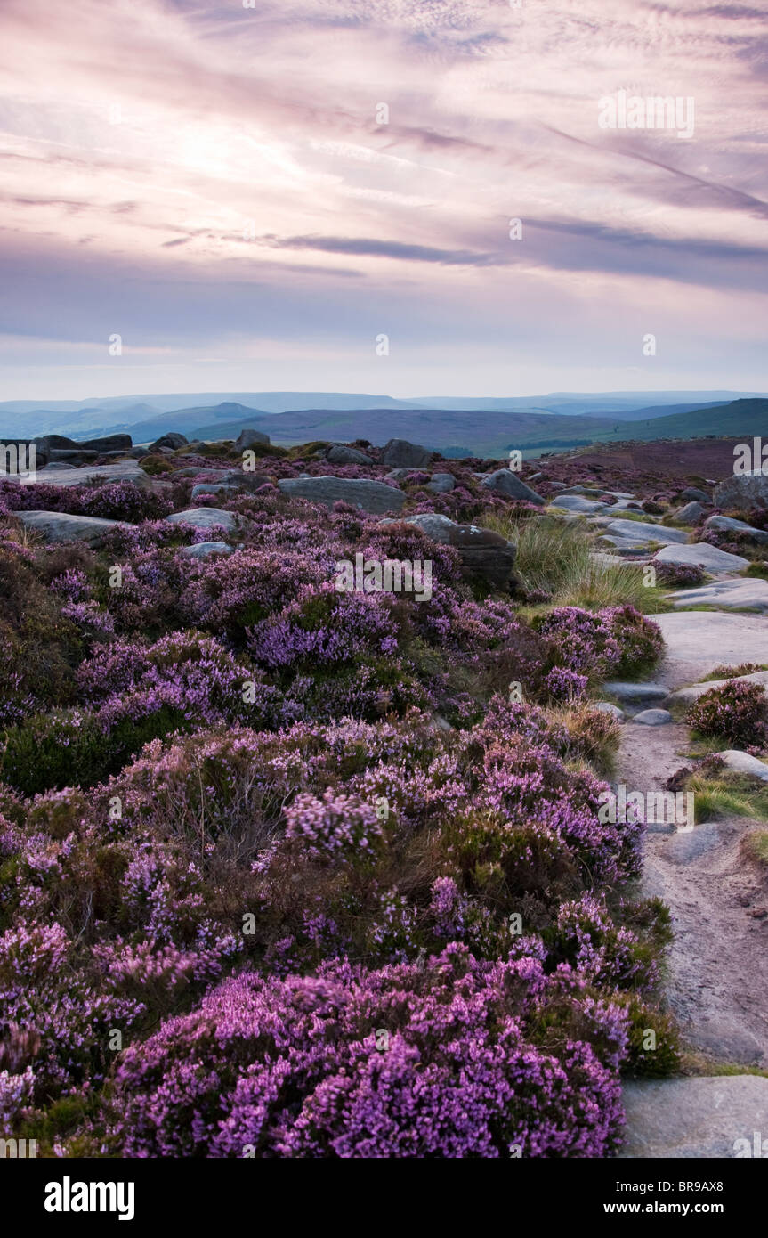 Swathes hi-res stock photography and images - Alamy