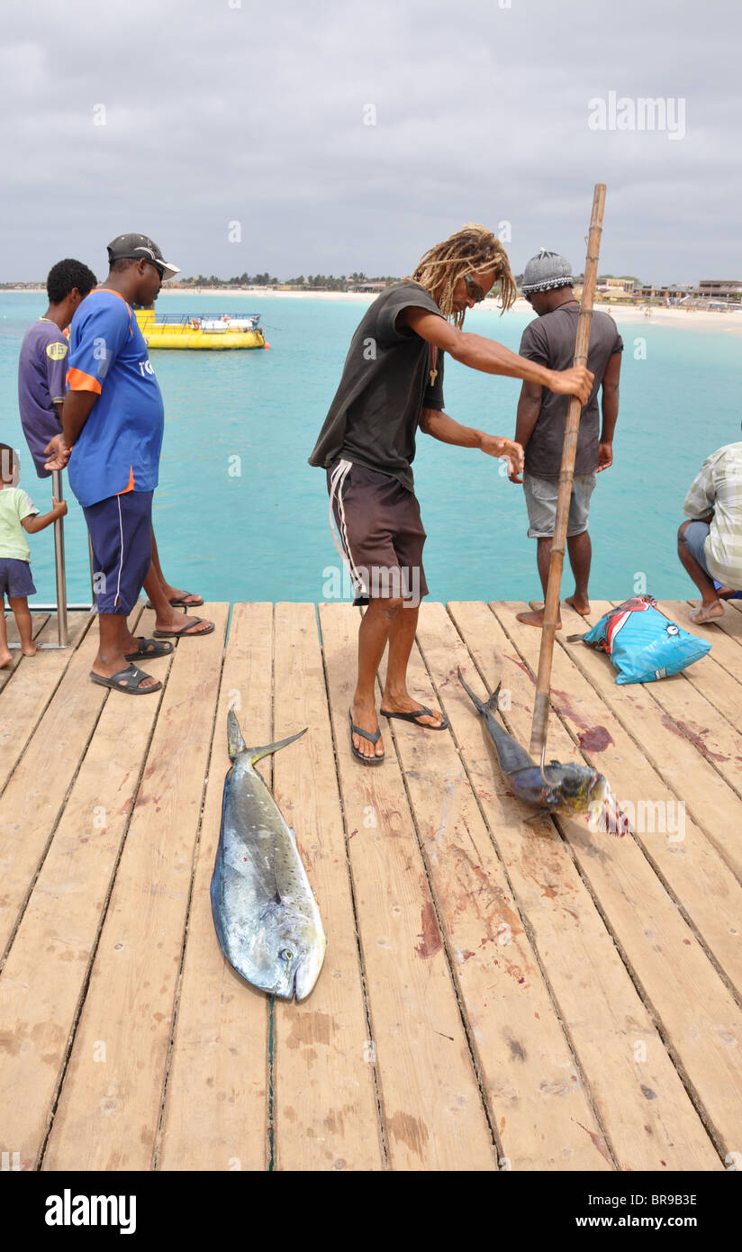 Cape verde fishing catch hi-res stock photography and images - Alamy